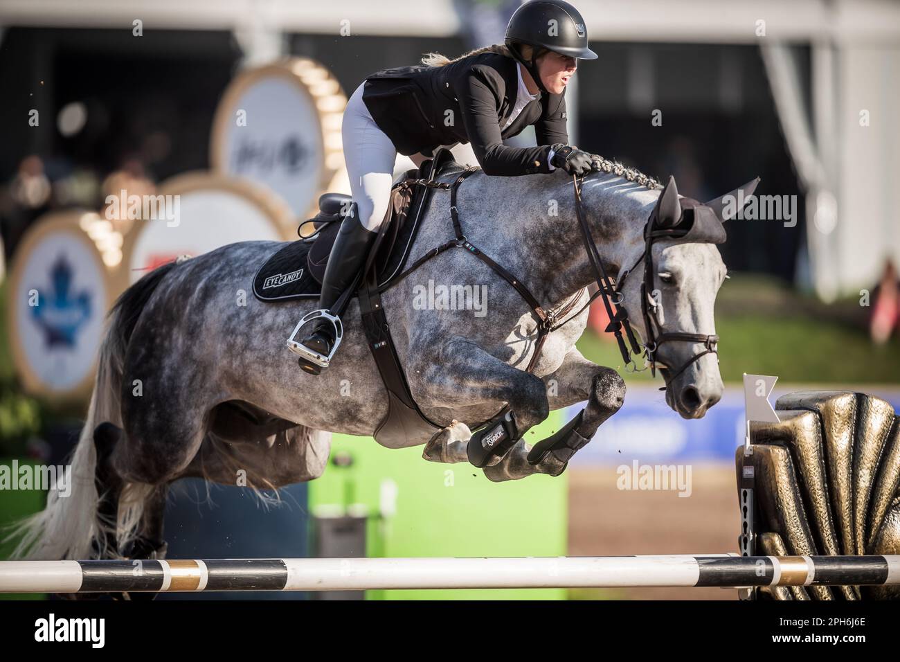 Team Canada Nations Cup rider, Jacqueline Steffens-Daley competes ...