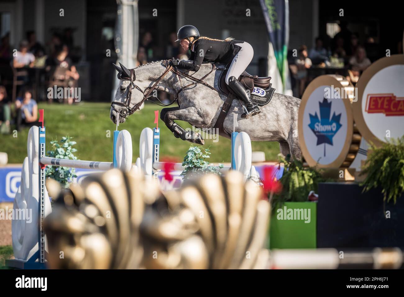 Team Canada Nations Cup rider, Jacqueline Steffens-Daley competes ...