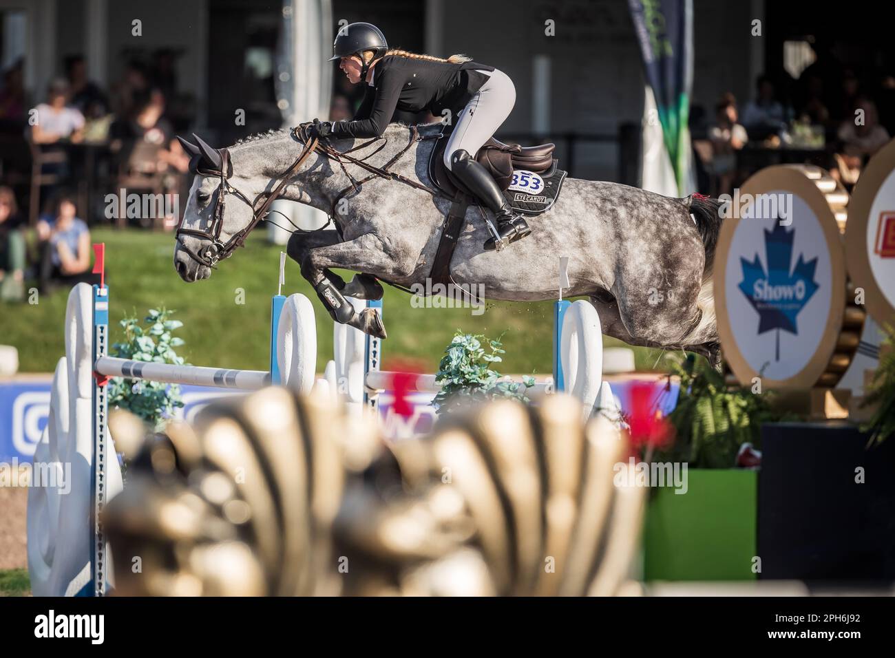 Team Canada Nations Cup rider, Jacqueline Steffens-Daley competes ...