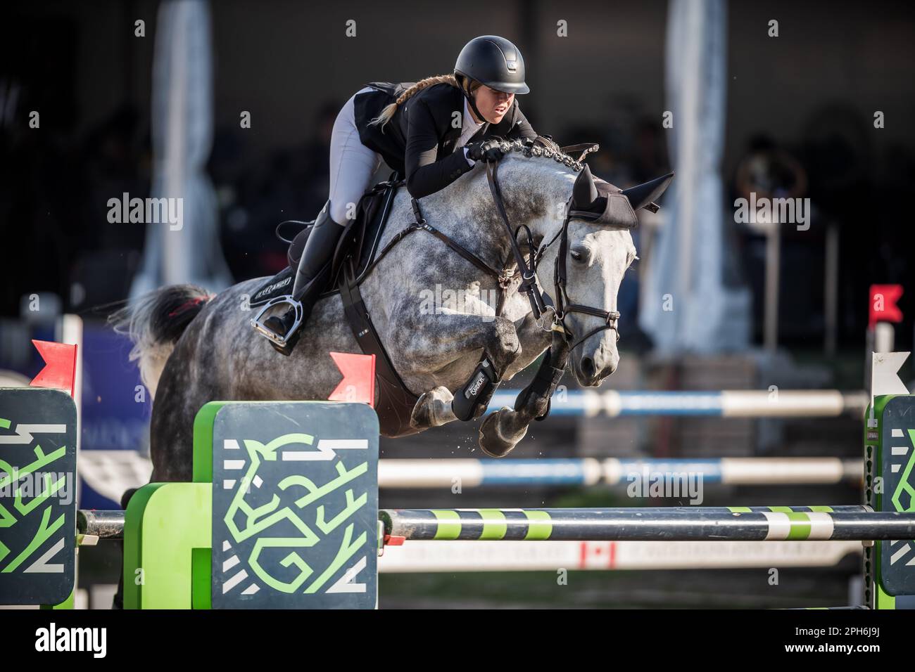 Team Canada Nations Cup rider, Jacqueline Steffens-Daley competes ...
