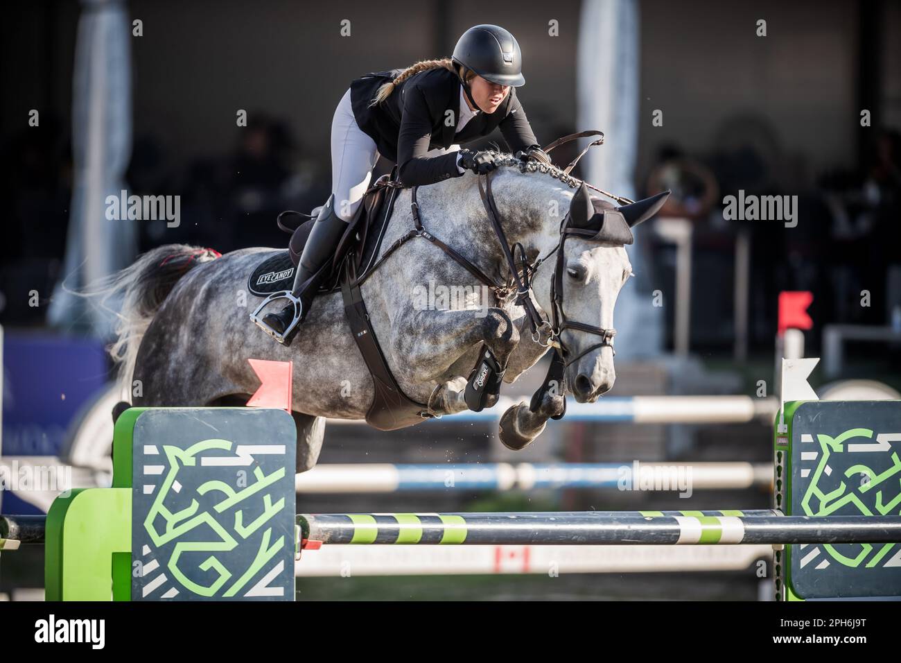 Team Canada Nations Cup rider, Jacqueline Steffens-Daley competes ...