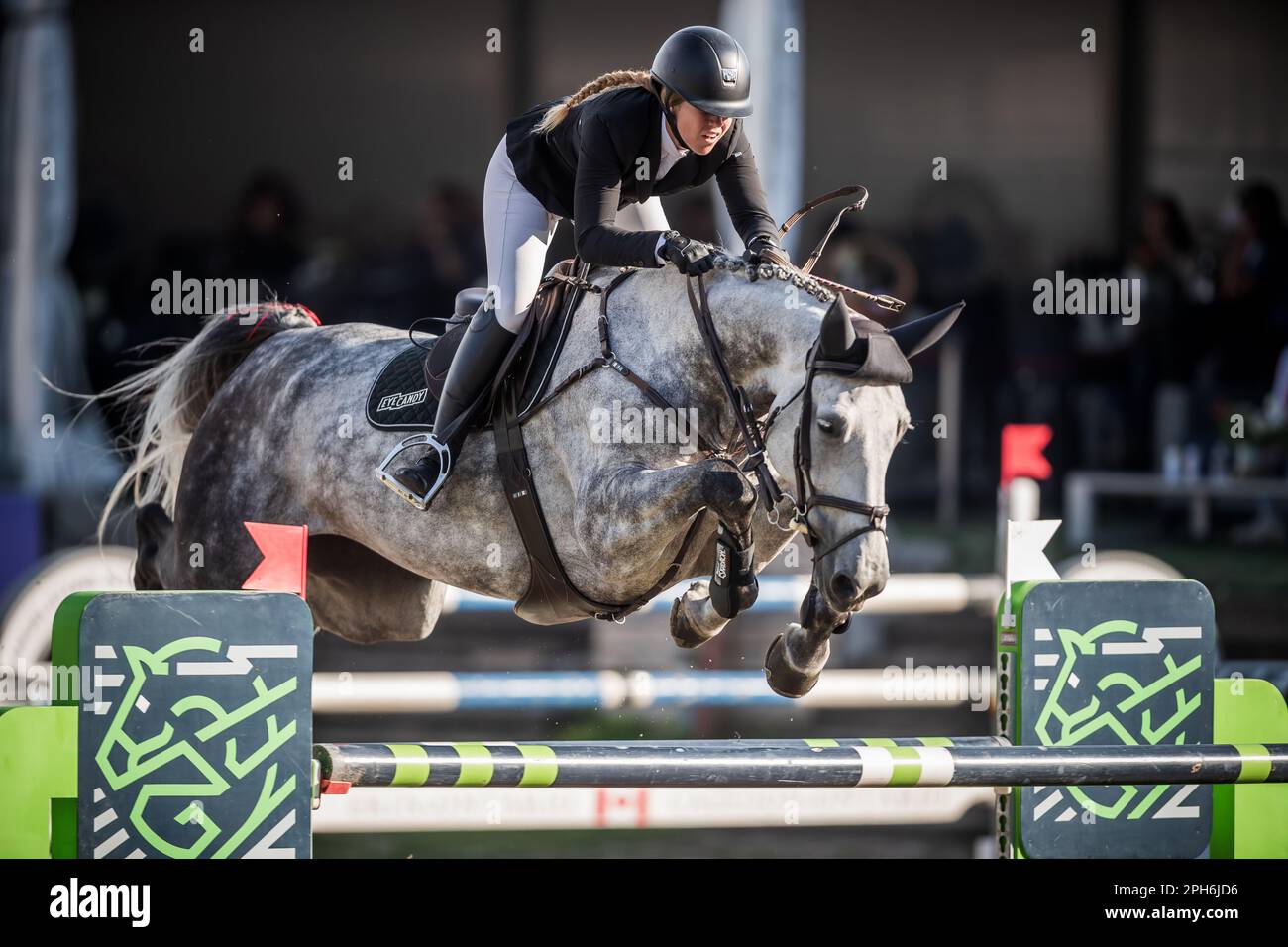 Team Canada Nations Cup rider, Jacqueline Steffens-Daley competes ...