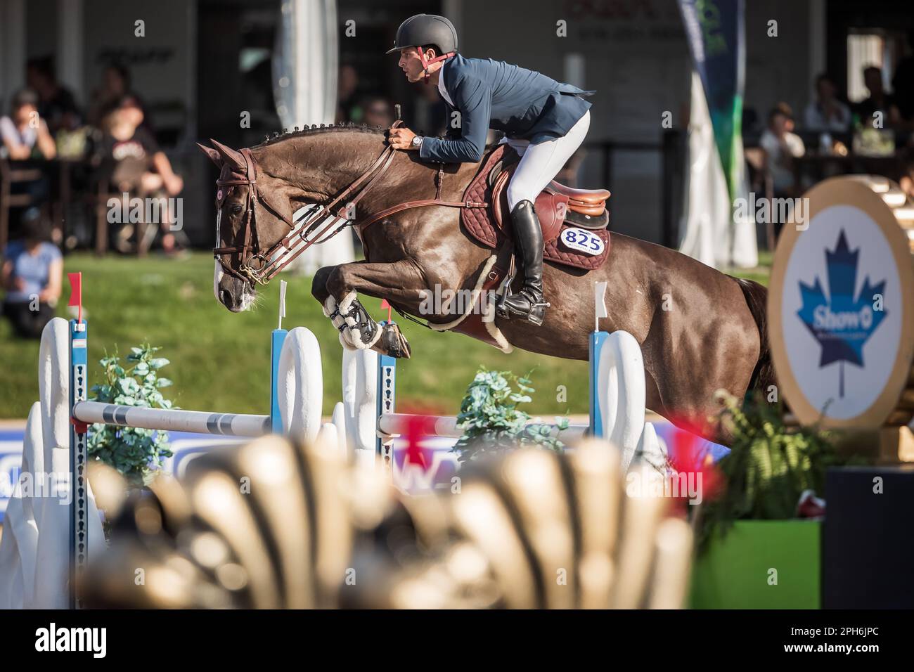 Daniel Bluman from Isreal competes on the Major League Show Jumping ...