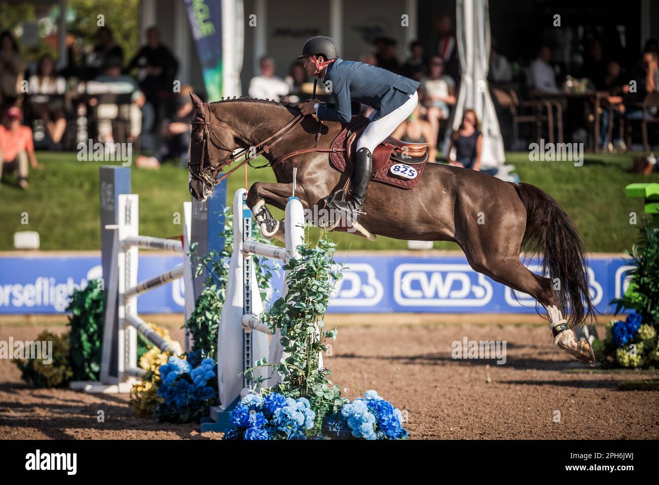 Daniel Bluman from Isreal competes on the Major League Show Jumping ...