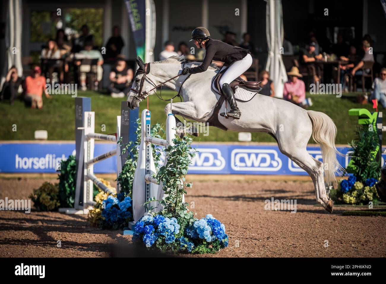A rider competes in the Major League Show Jumping tour at Angelstone ...