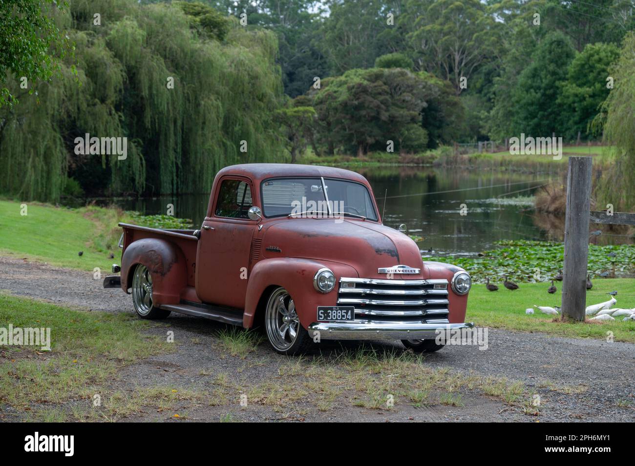 A 1953 American Chevrolet 3100 pickup truck. Original paintwork but ...