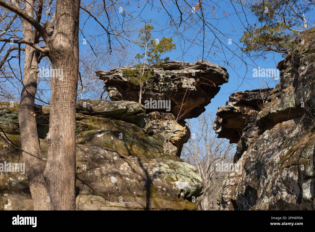 Devils standtable hi-res stock photography and images - Alamy