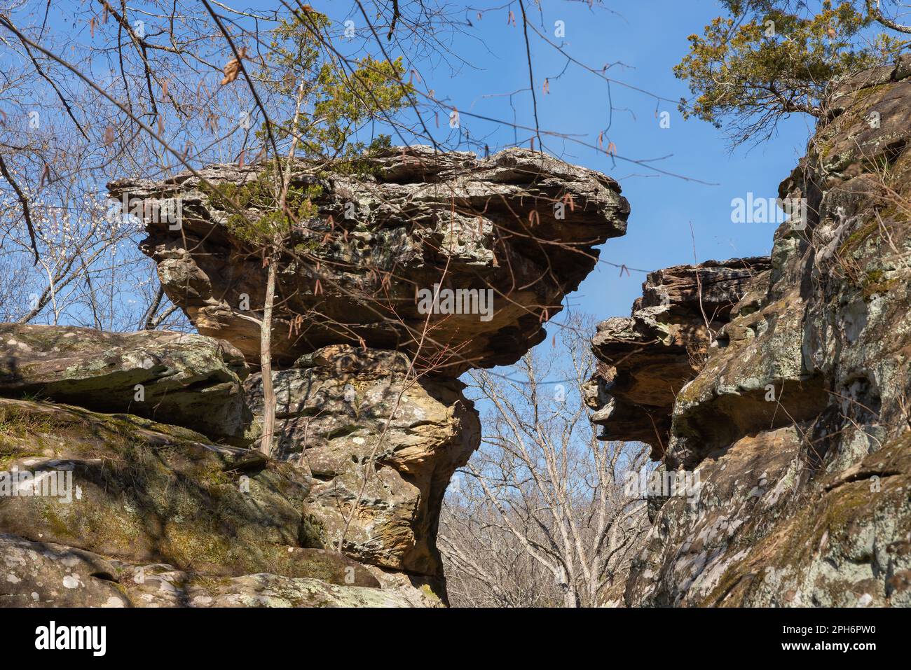 Devils standtable hi-res stock photography and images - Alamy