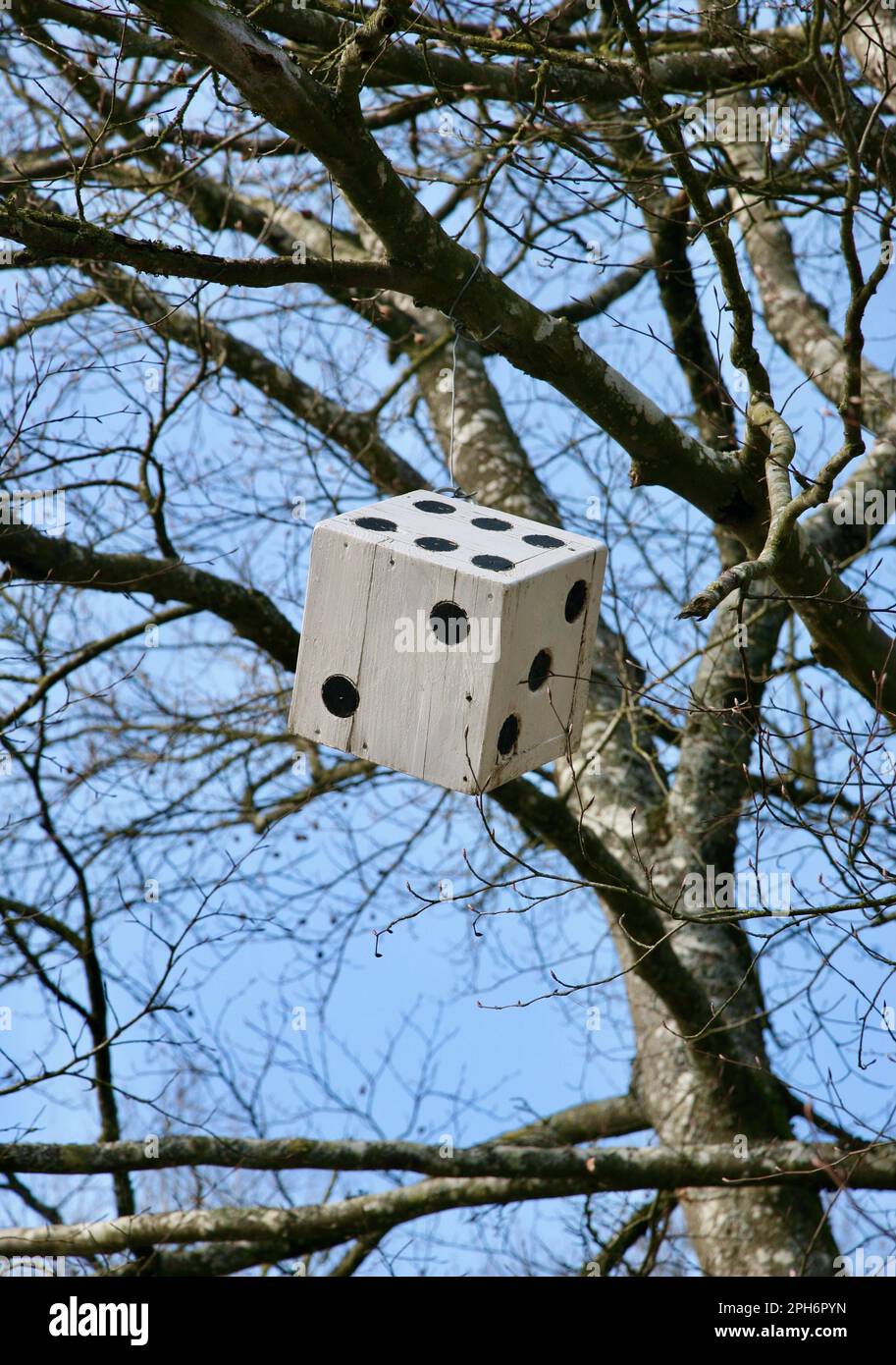 A large white dice hanging from a tree in the French countryside Stock ...