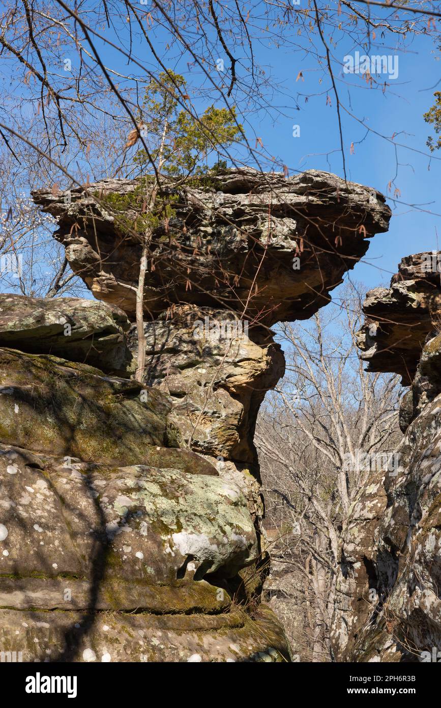 Devils standtable hi-res stock photography and images - Alamy