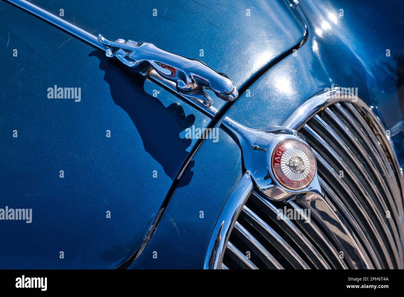 Close up of famous emblem of Jaguar cars Stock Photo - Alamy
