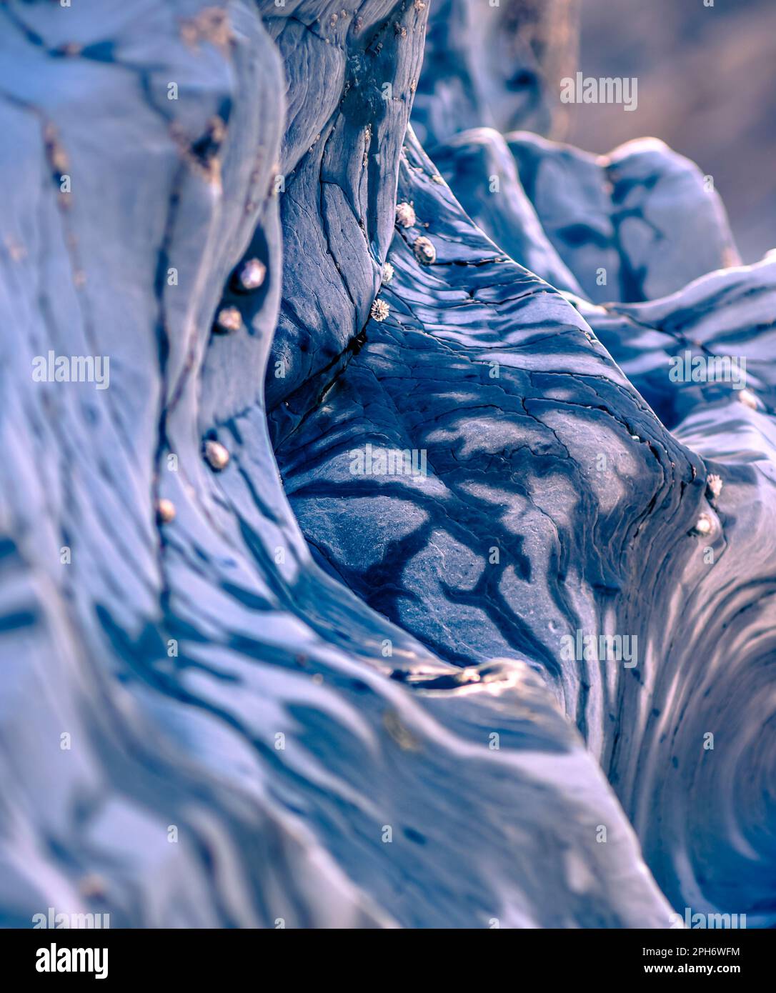 Coastal and marine hi-res stock photography and images - Alamy