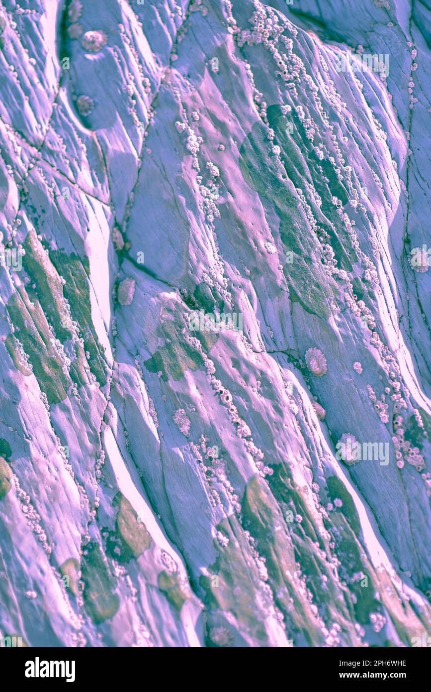 Reflective textures hi-res stock photography and images - Alamy