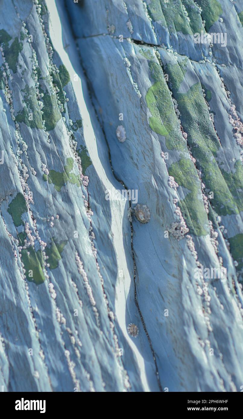 coastal rocky shore abstract textures Stock Photo - Alamy