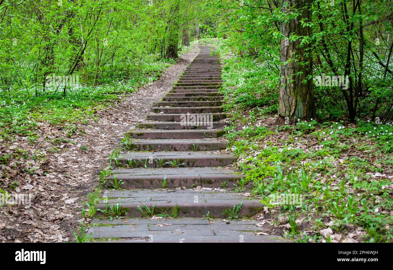 Park landscape. Stone paved stairs in park Stock Photo - Alamy