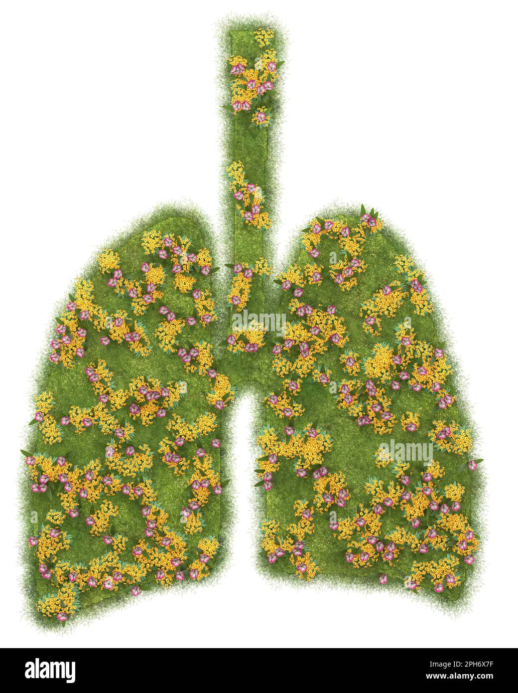 Green lung concept. A patch of grass in the form of a human lung ...