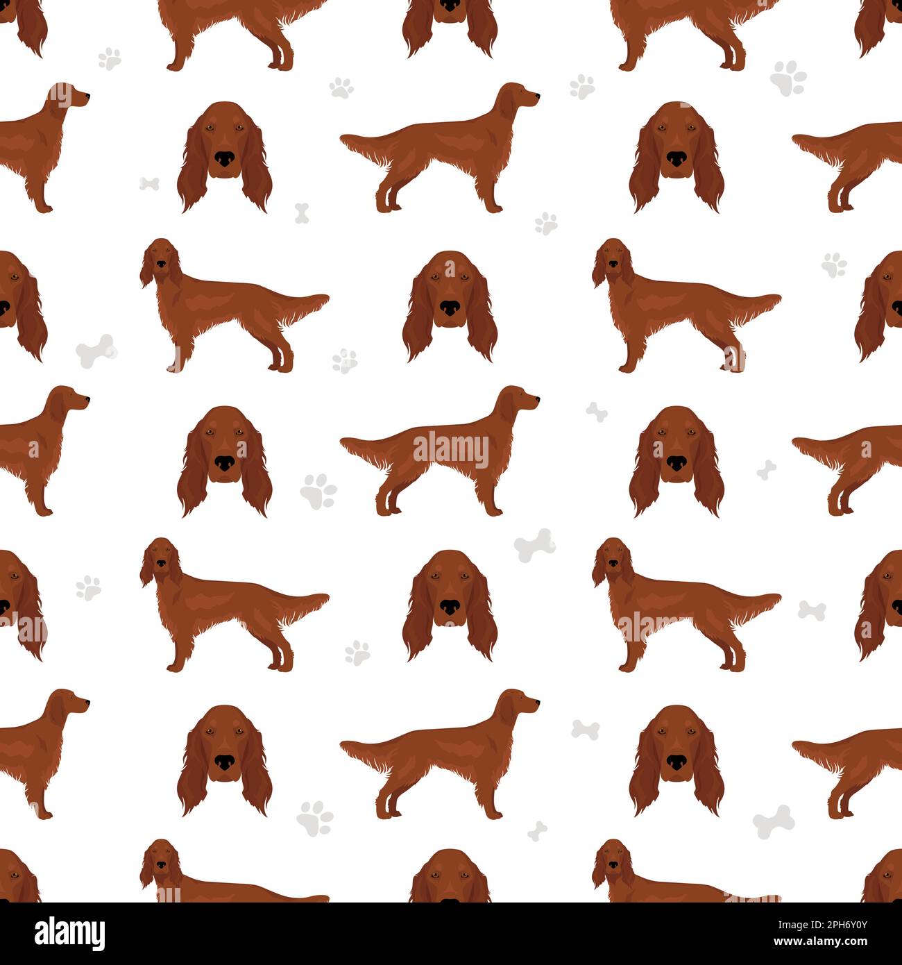Irish red setter seamless pattern. Vector illustration Stock Vector ...