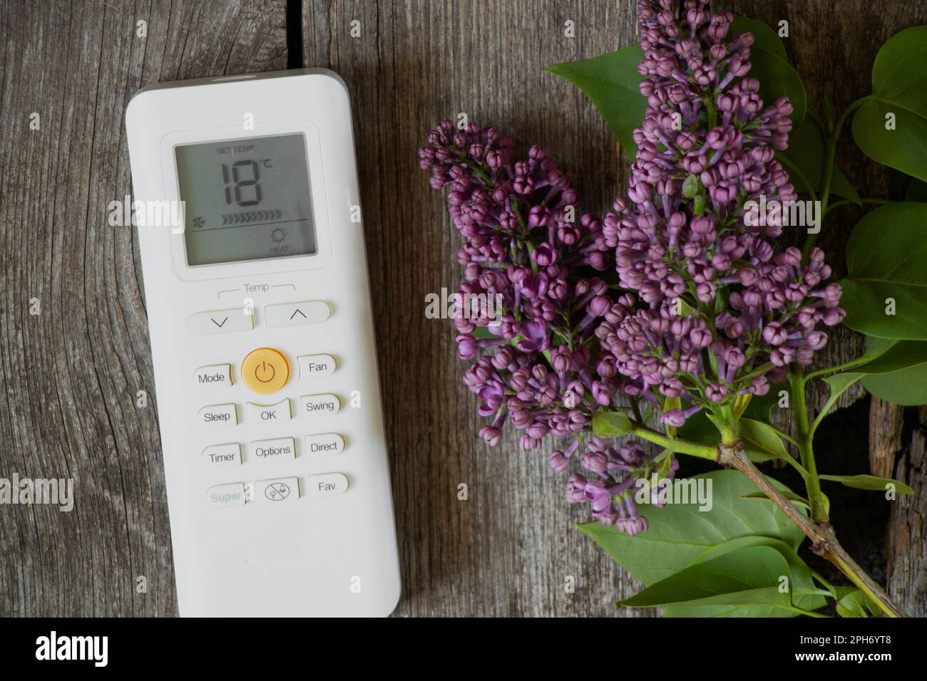 white remote control from the air conditioner and a branch of blooming ...