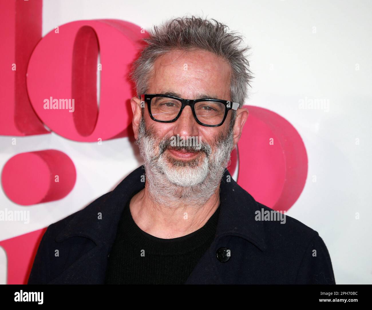 David Baddiel attends the "What's Love Got To Do With It?" UK Premiere ...