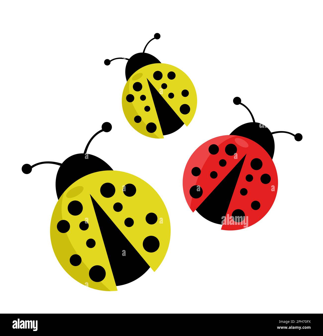 Ladybug vector illustration on white Stock Vector Image & Art - Alamy