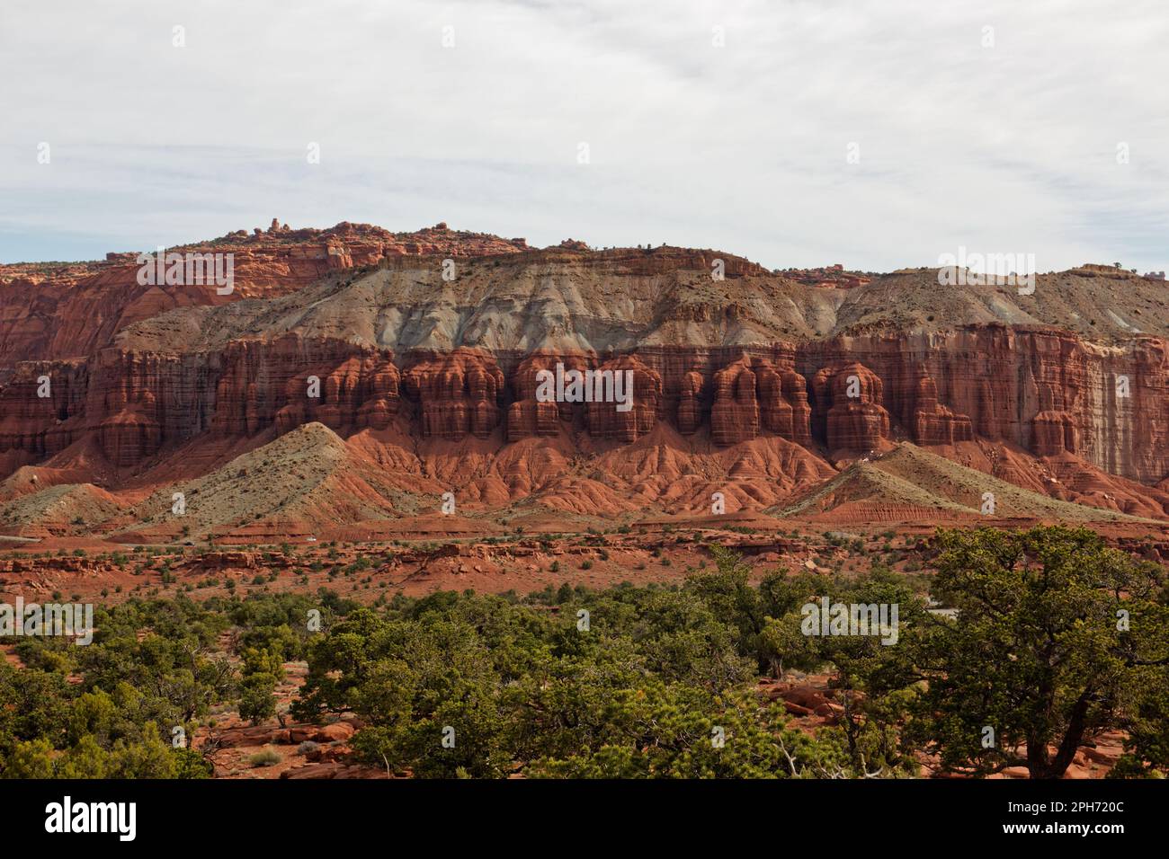 Mummy nature hi-res stock photography and images - Alamy