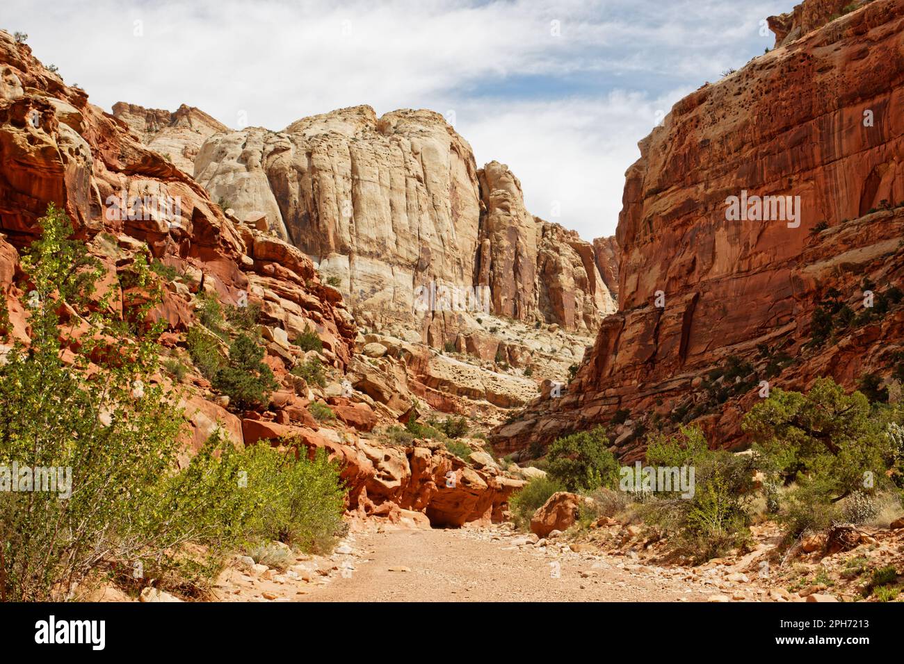 The cliffs of Grand Wash, Capitol Reef National Park, Utah, USA Stock ...