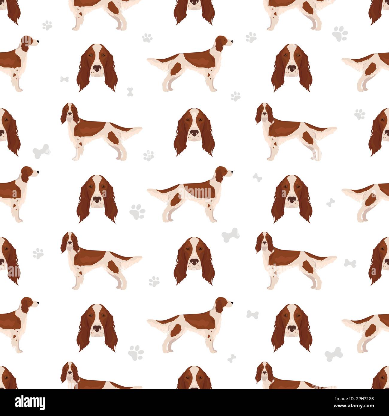 Irish red and white setter seamless pattern. Vector illustration Stock ...