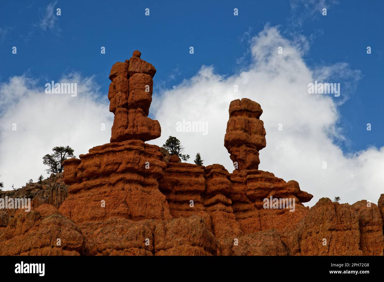 Sandstone columns near Red Canyon, Utah, USA Stock Photo - Alamy