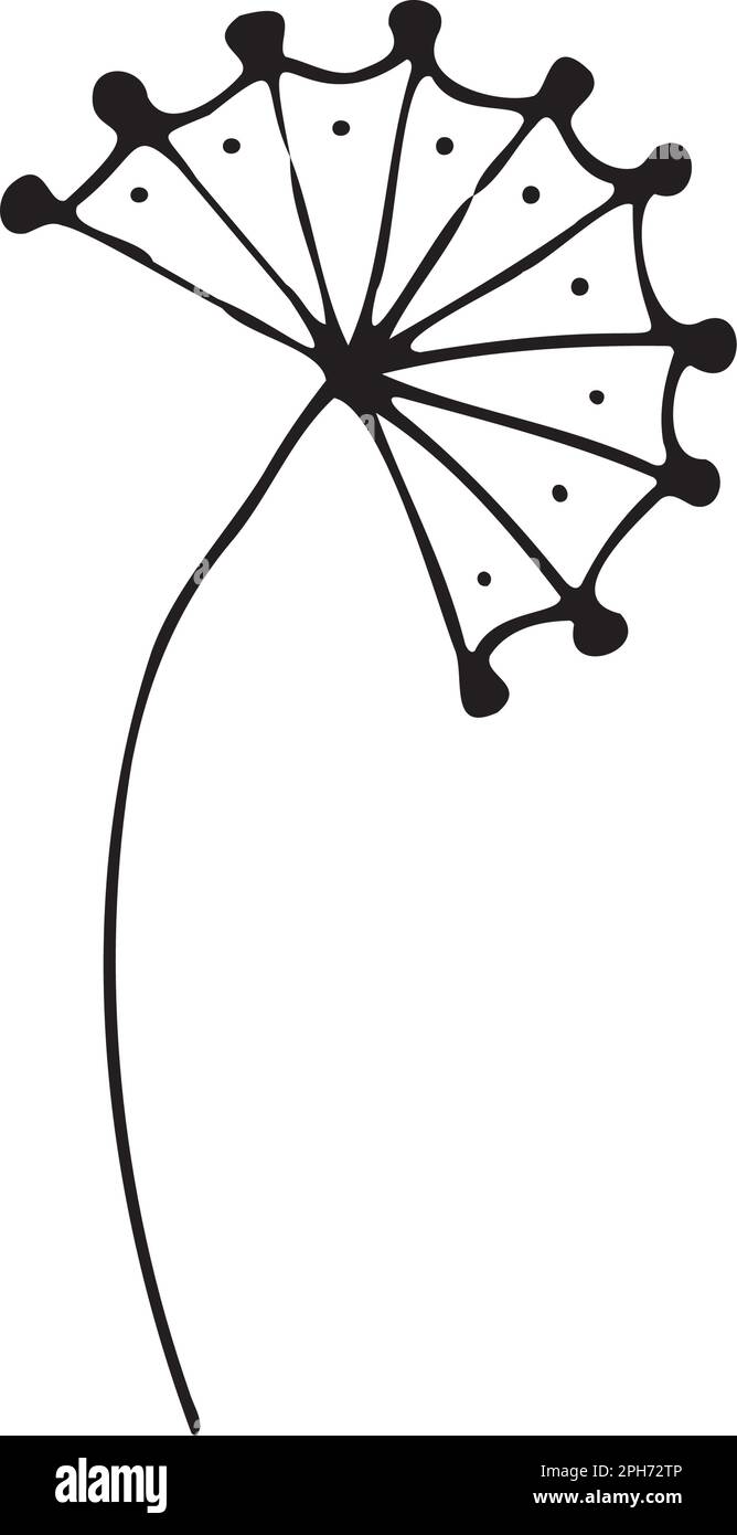 Vector sdrawing abstract herbs, monochrome artistic botanical ...