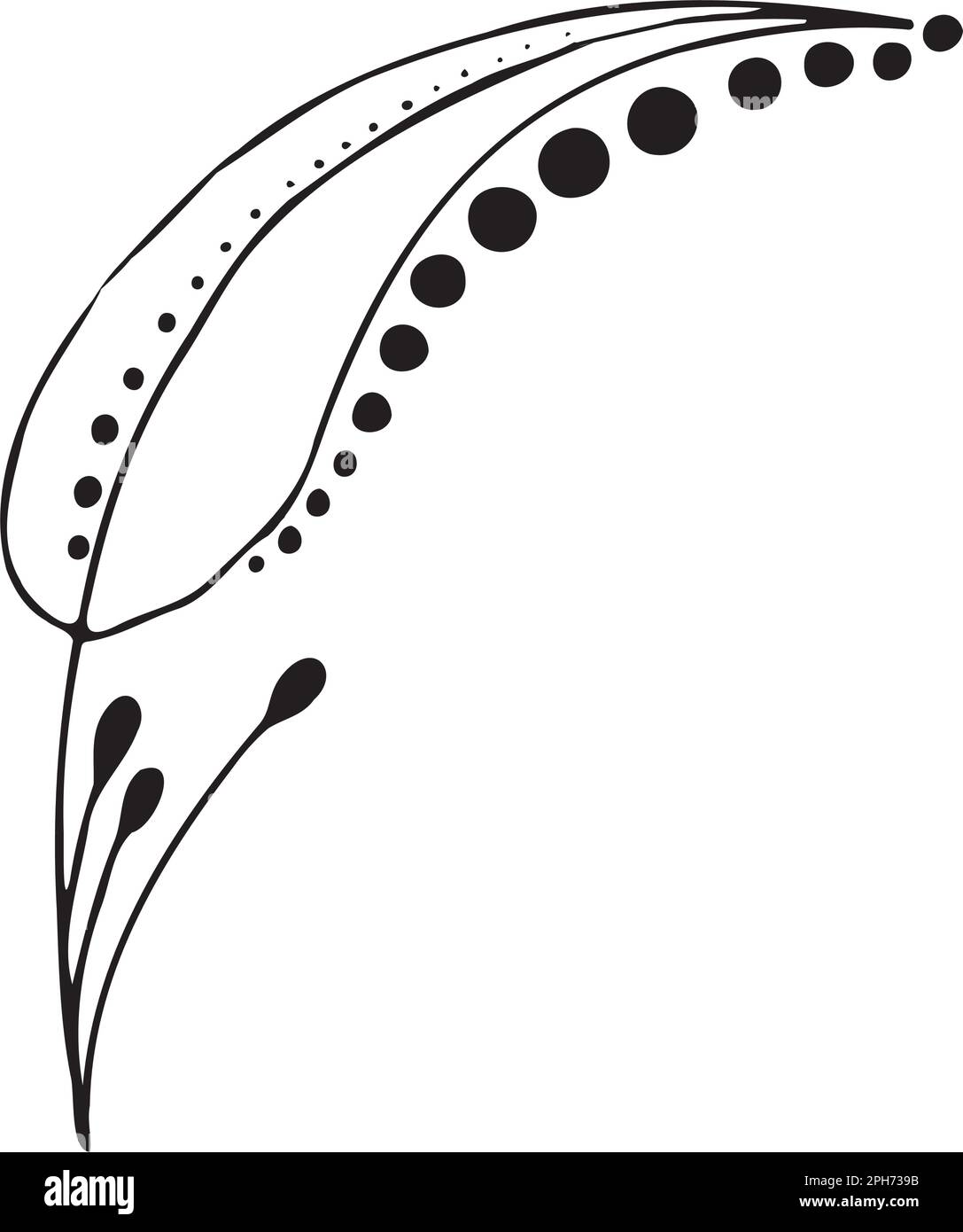 Vector sdrawing abstract herbs, monochrome artistic botanical ...