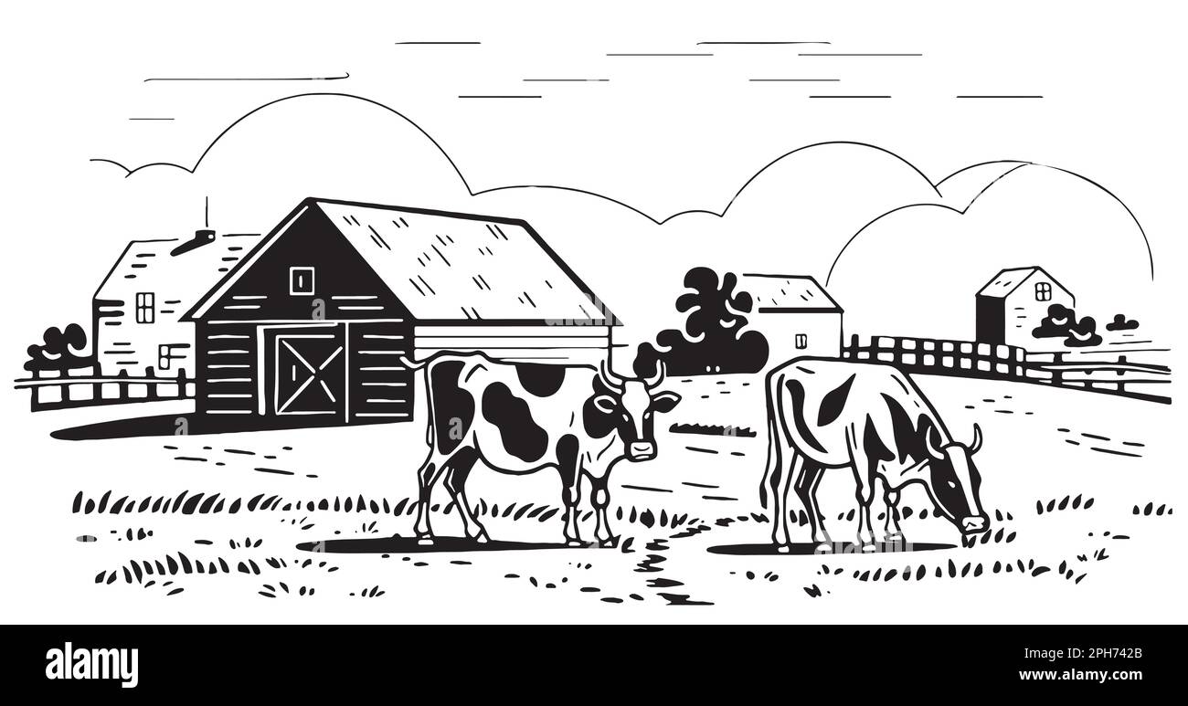 Two grazing cows Cut Out Stock Images & Pictures - Alamy