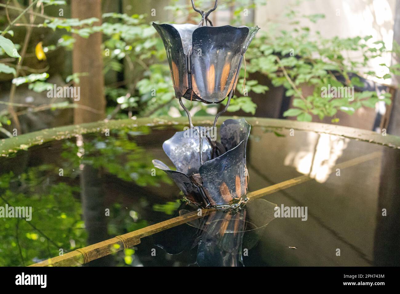 Ornamental cast metal water cup on a traditional Japanese rain chain ...