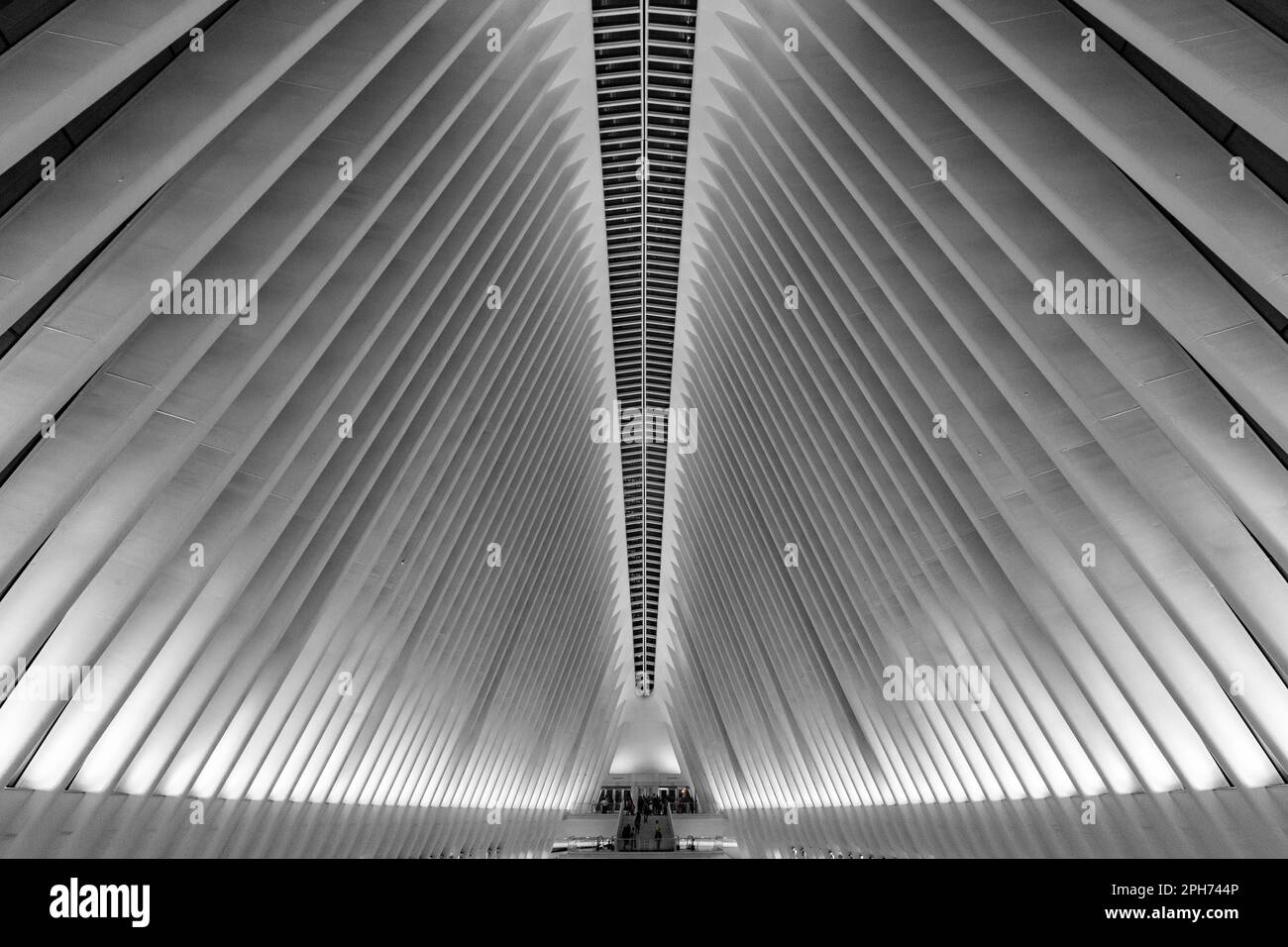 A symmetrical Oculus from the inside black and white futuristic ...