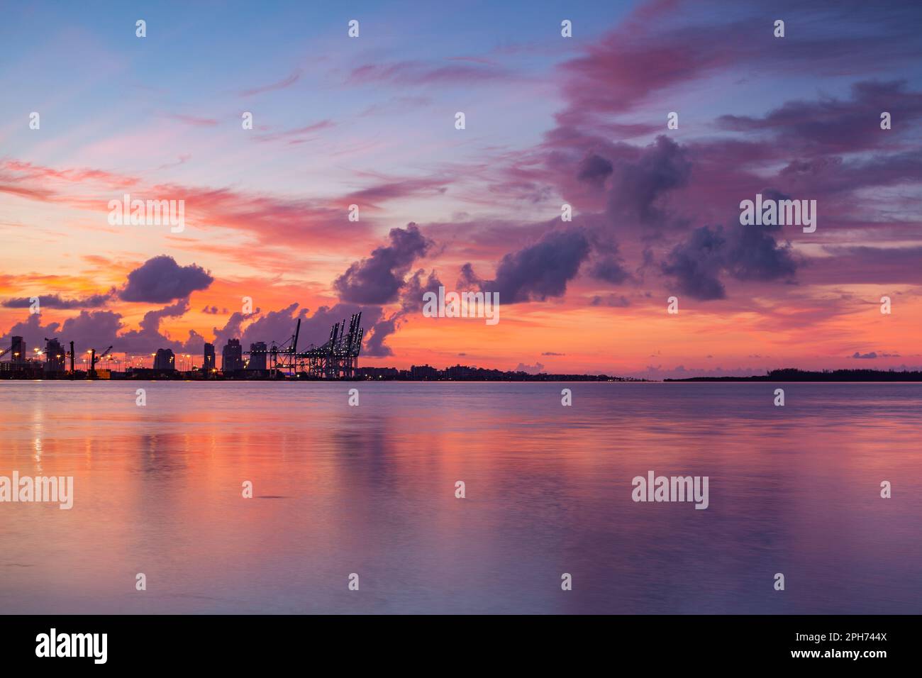 Miami port skyline during the sunrise Florida, port skyline is black on ...