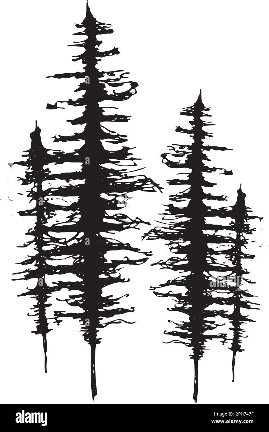 Vector spruce tree, ink plant sketch, hand drawing sketch Stock Vector ...