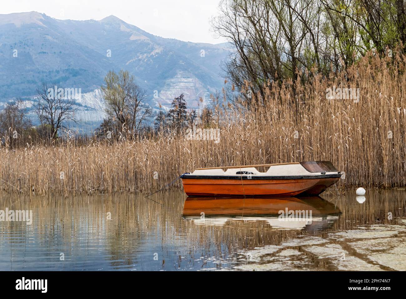 Rowing boat on the lakeside of Lake Pusiano Stock Photo - Alamy