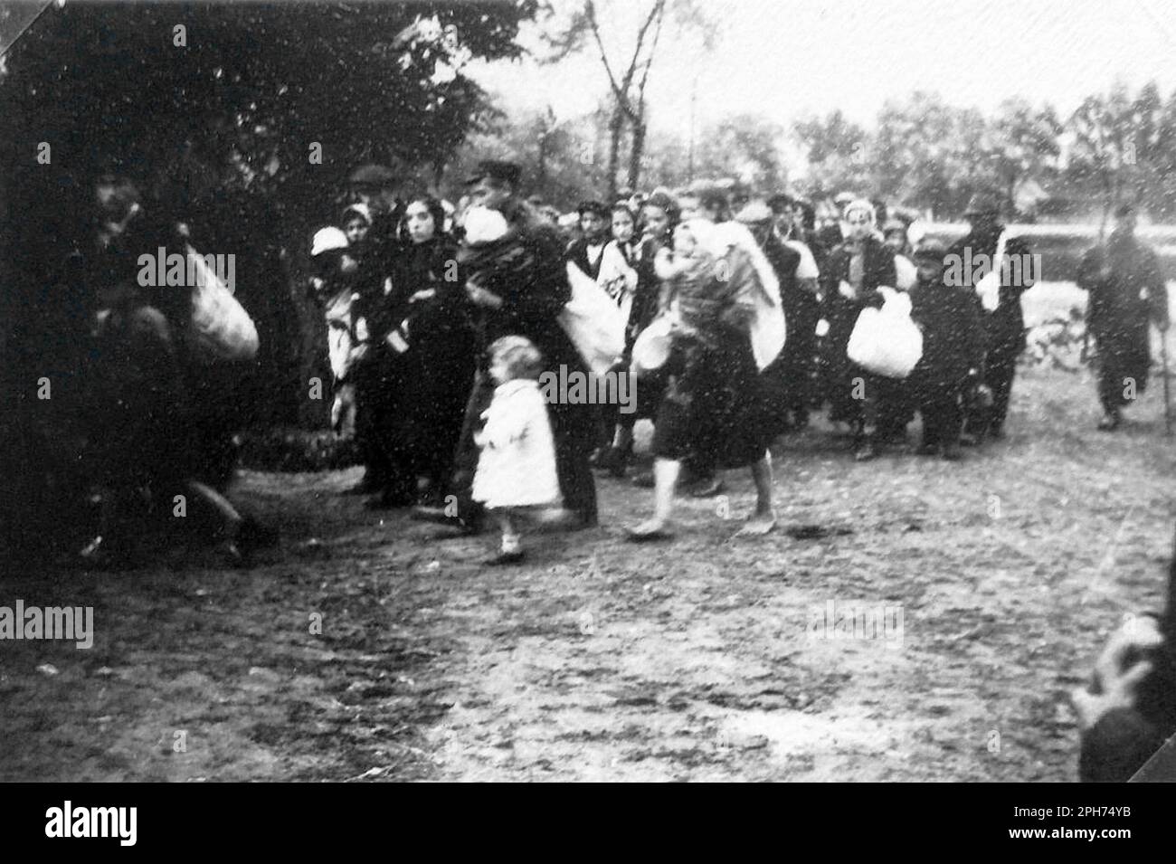 A column of Jews being marched from the village of Jędrzejów to the ...