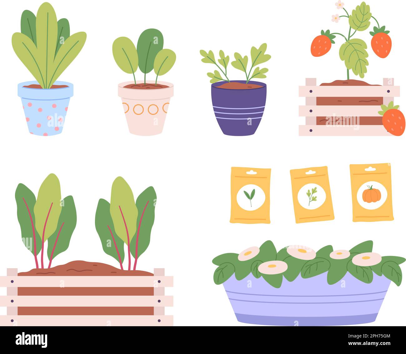 Strawberry plants in pots Stock Vector Images - Alamy