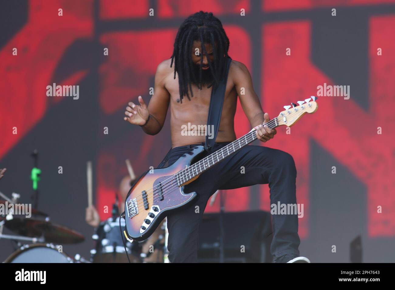 Pantera Live Wallpaper