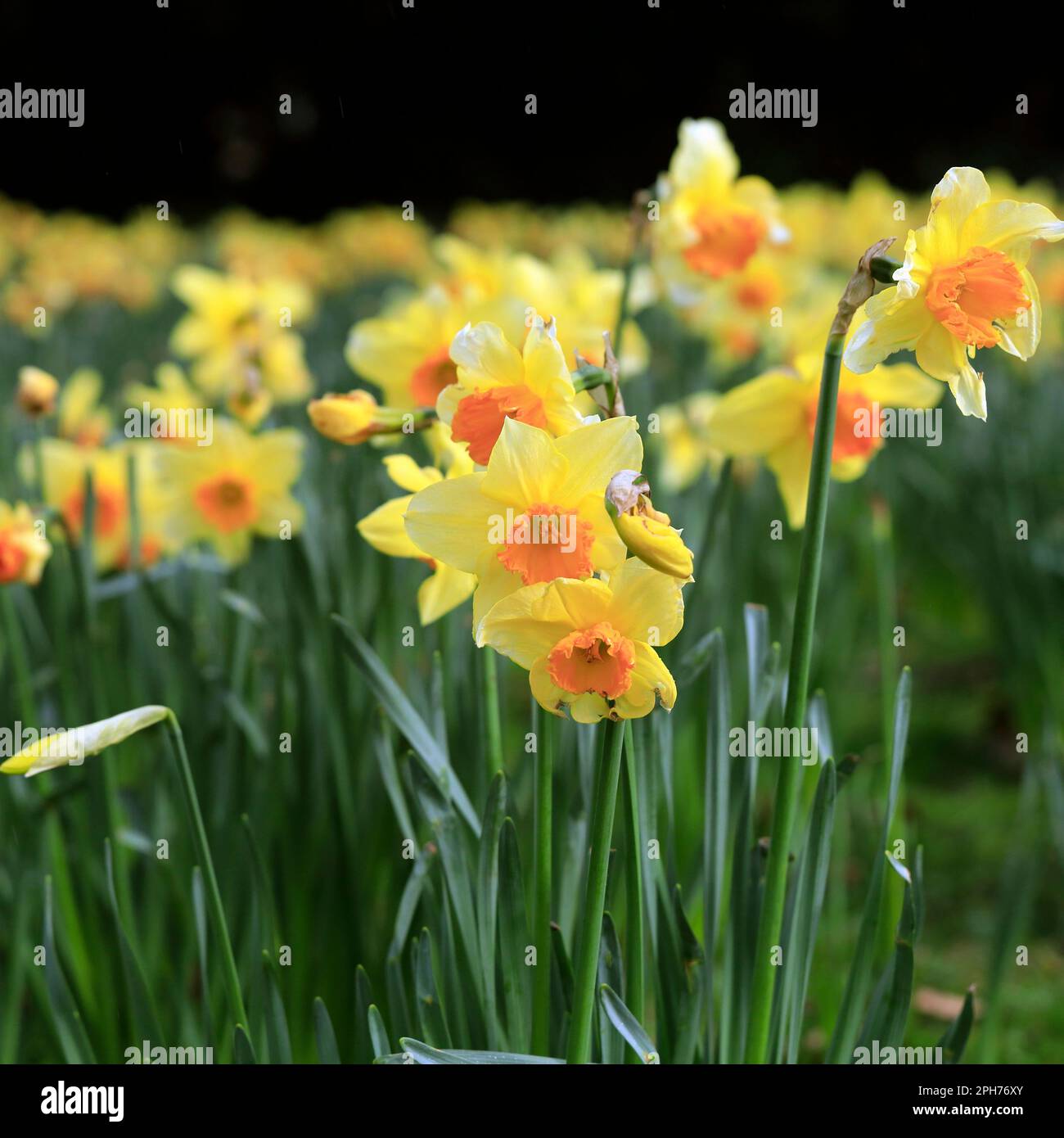 England taken hi-res stock photography and images - Alamy