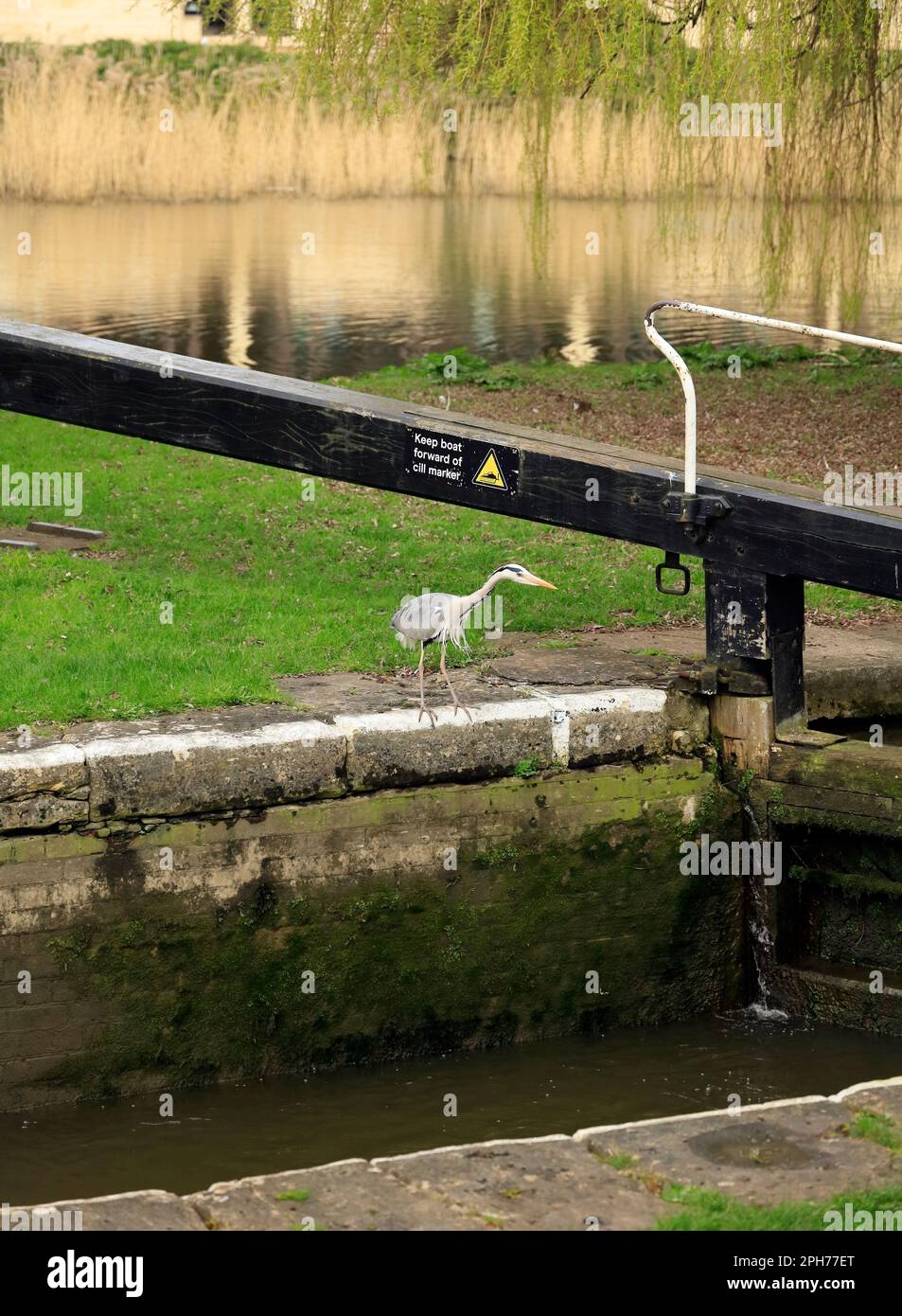 Kennet e avon canal lock hi-res stock photography and images - Alamy