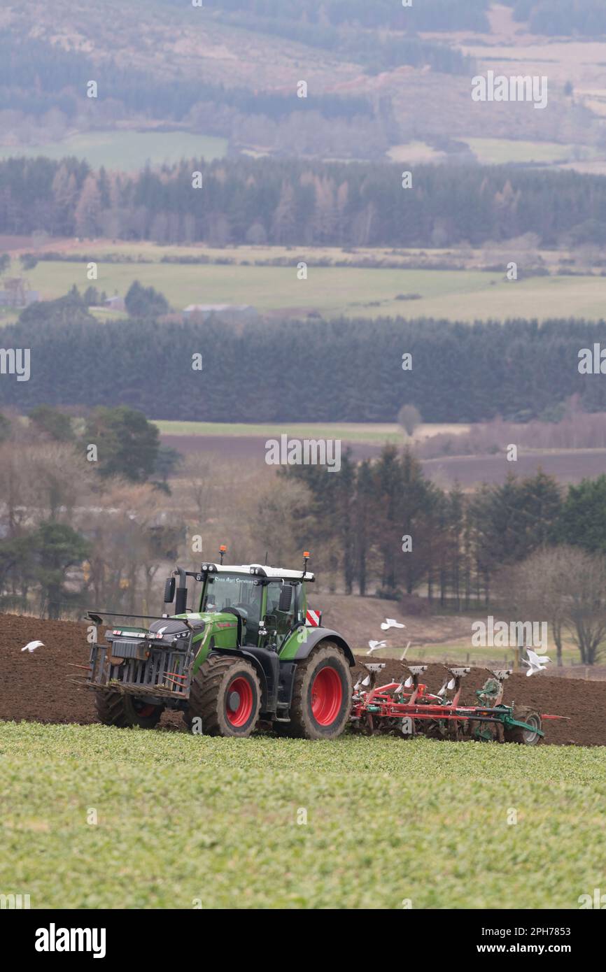 A Green Fendt Tractor & Reversible Plough Ploughing in a Cover Crop ...