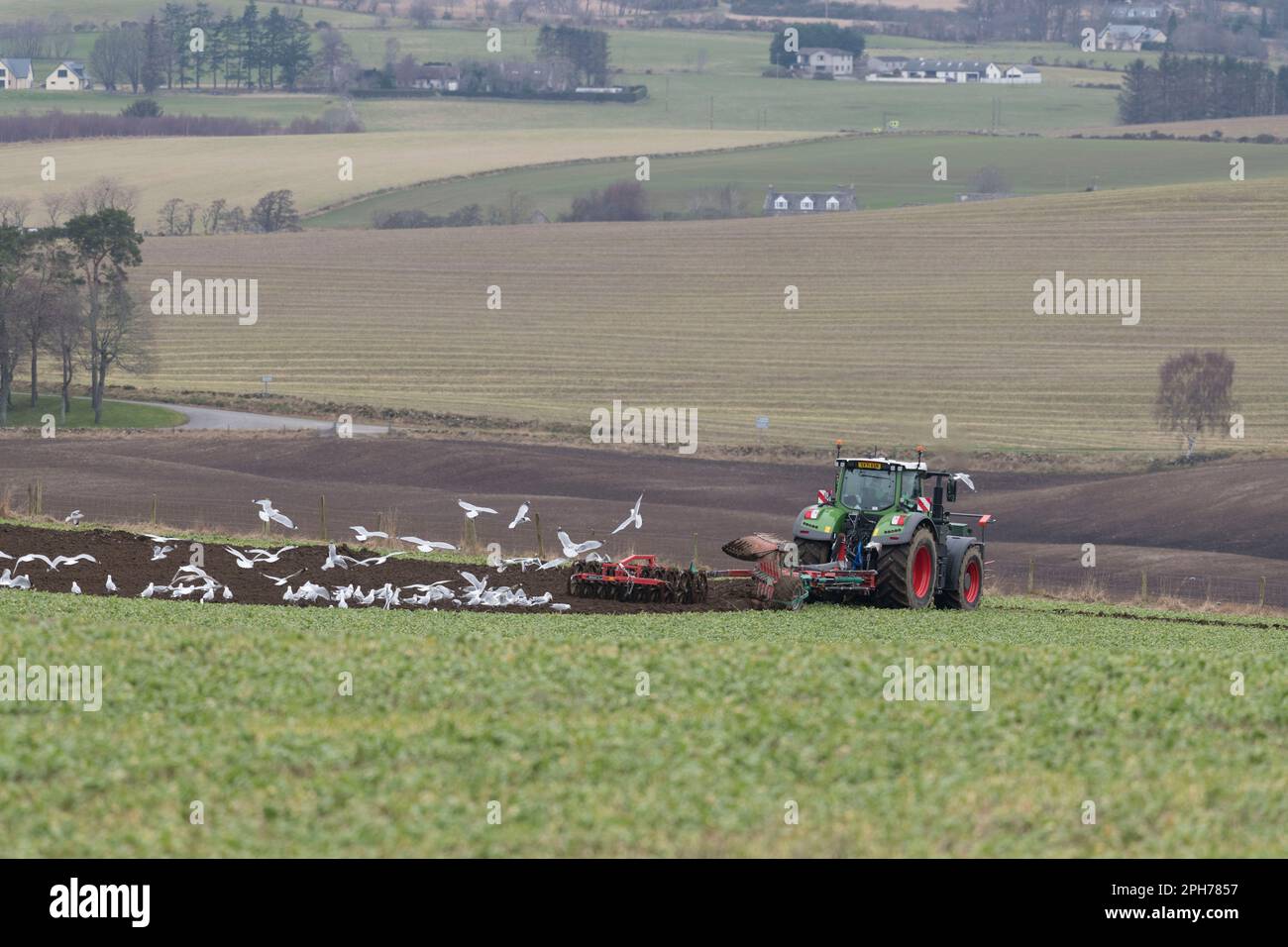 Ploughing in Green Manure (Vetch) Using a Fendt Tractor with a ...