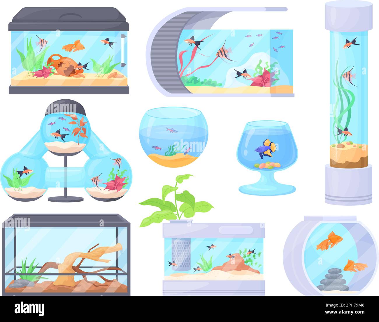 Square Fish Tank Cartoon