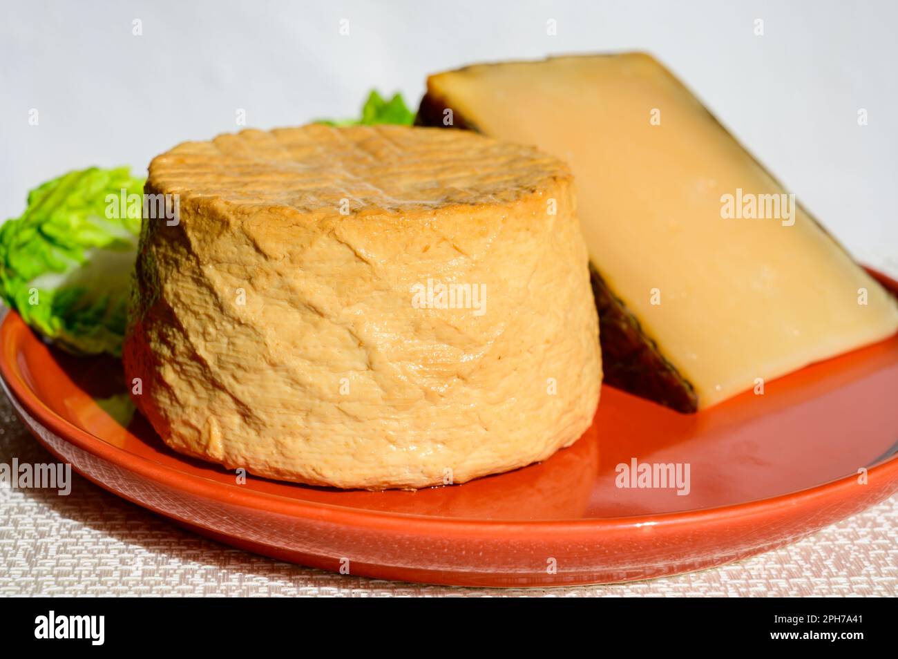 Spanish cheeses collection, pieces of smoked and old matured goat ...
