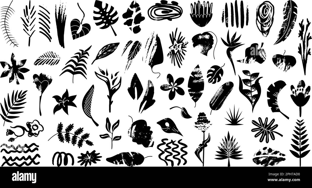Jungle Leaves Clip Art Jungle Illustration Plant Leaves