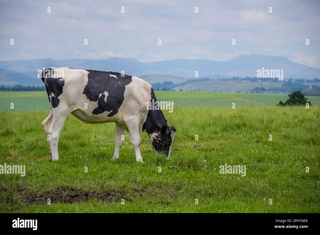 Midlands meander landscape in Kwazulu natal kzn south africa Stock ...