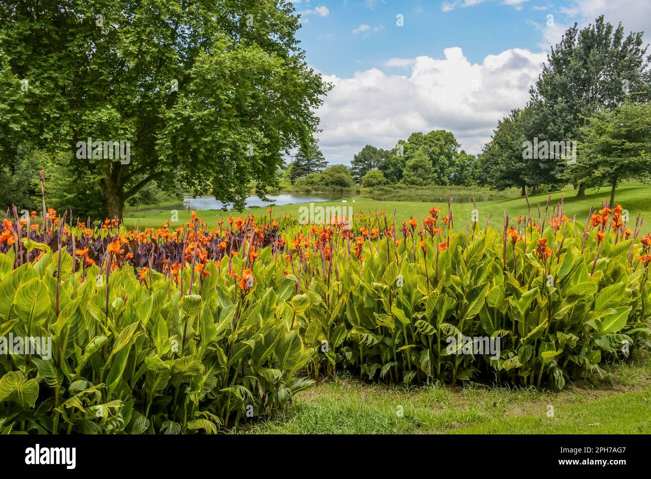 Midlands meander landscape in Kwazulu natal kzn south africa Stock ...