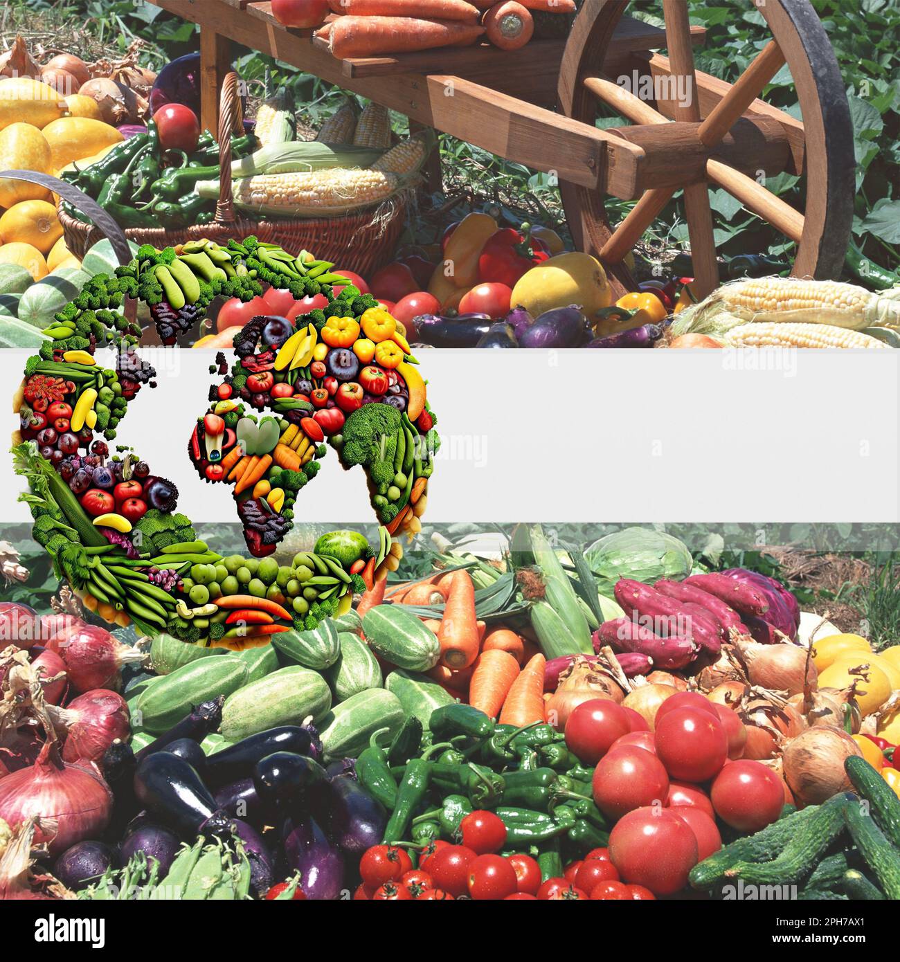 Vegan World - An image that represents a terrestrial globe made up of ...