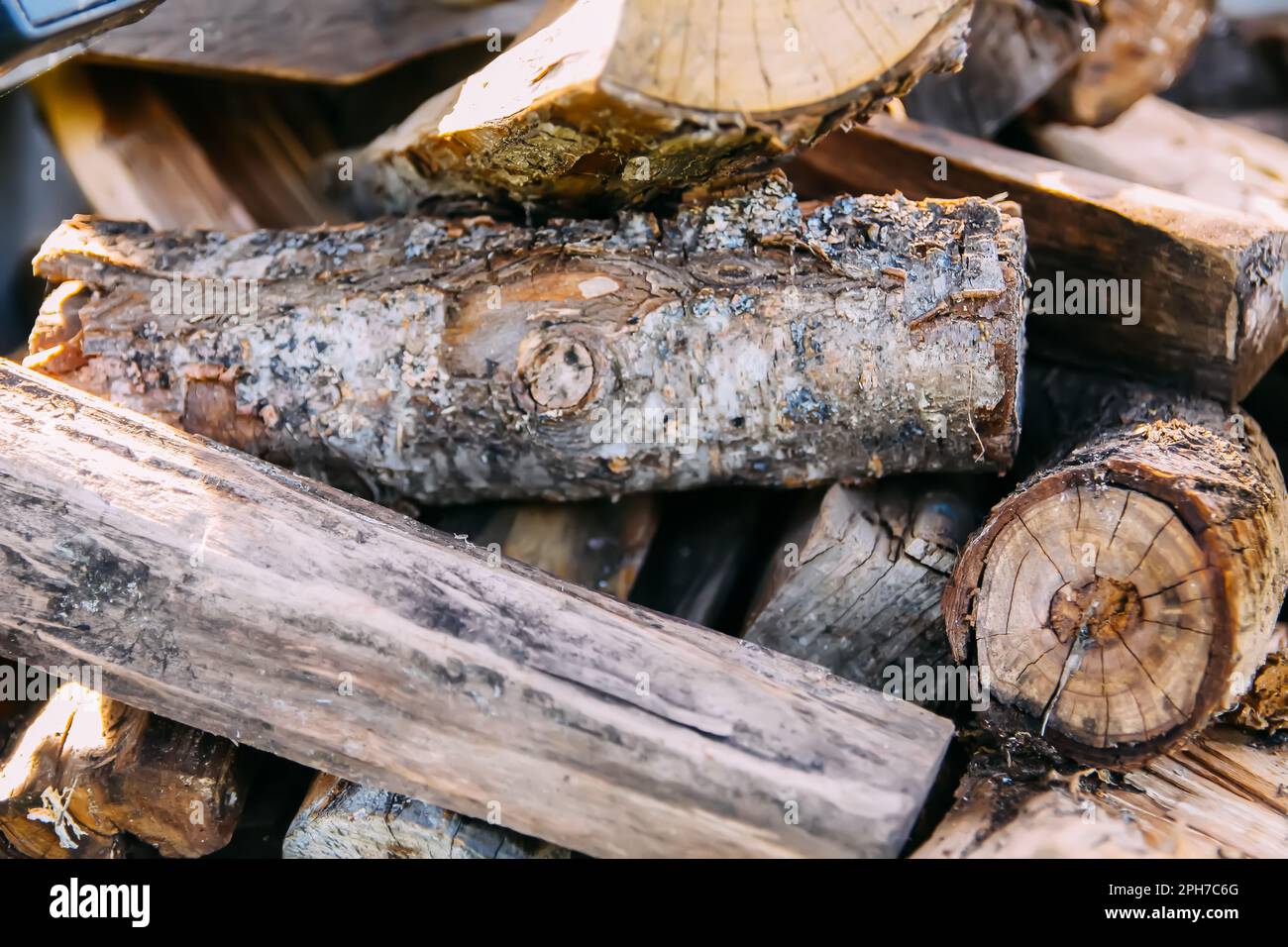 Pile of firewood for the winter period. Stack of firewood in the forest ...